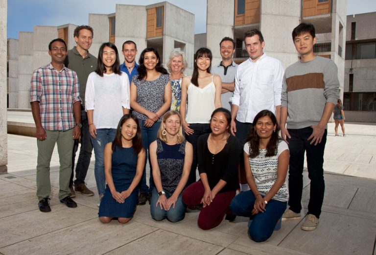 martin-hetzer-lab-courtyard-salk-institute | Ecker Lab - Salk Institute ...